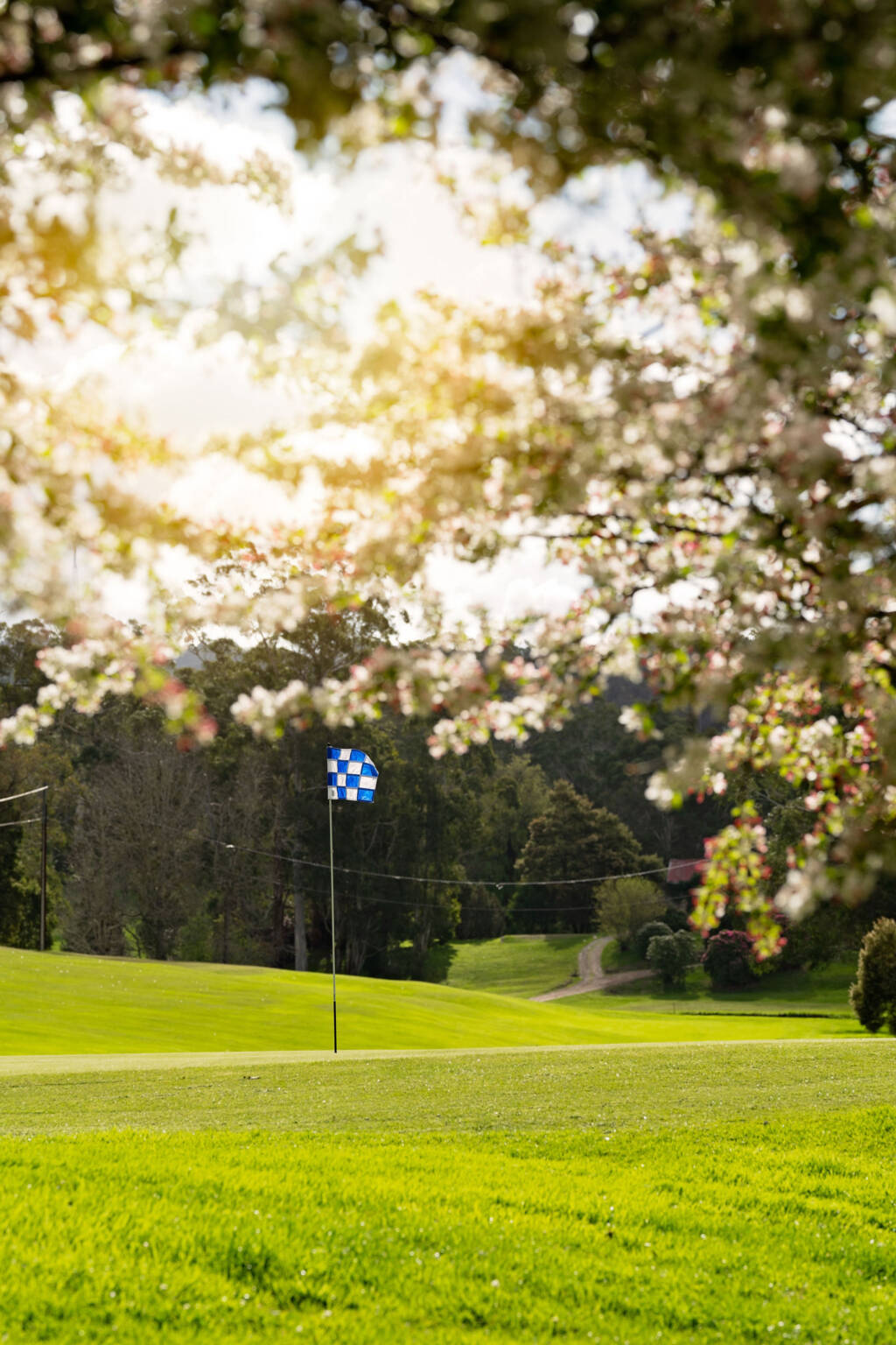 Members – Mount Lofty Golf Course